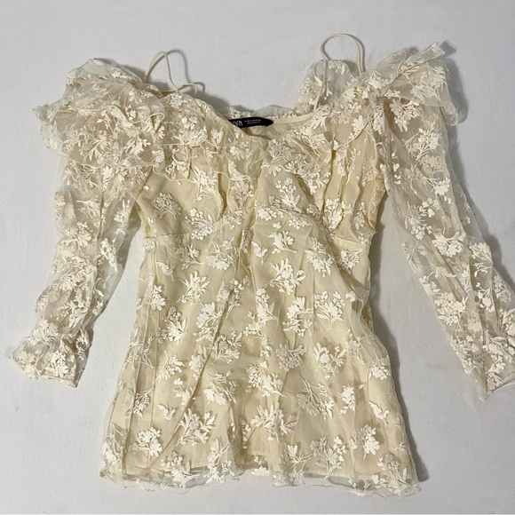 Zara | Tops | Zara Off Shoulder Sheer Embroideredlace Blouse | Poshmark